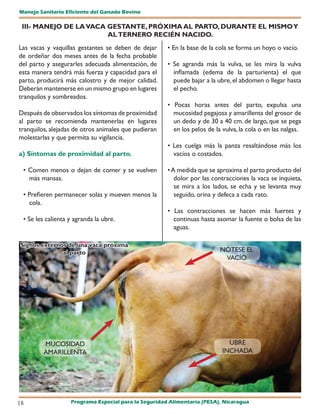 guia-de-manejo-de-ganado-bovino-fao-login | PDF