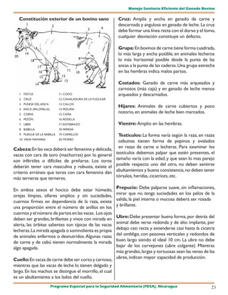 guia-de-manejo-de-ganado-bovino-fao-login | PDF