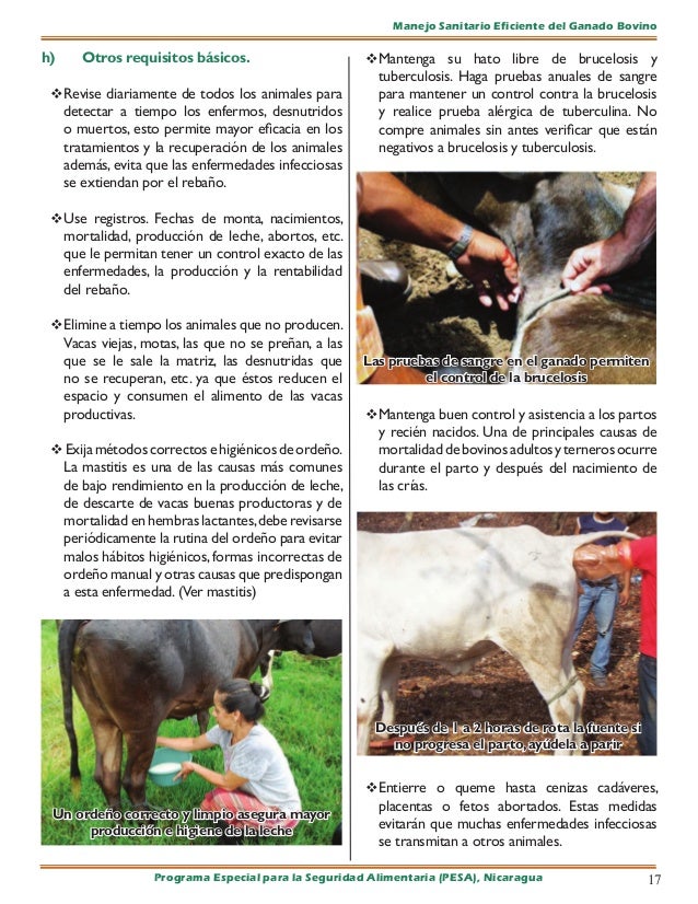 Como Fao Login Na Docsity Docsitycom