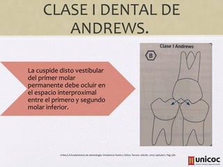 528425502-Maloclusion-Clase-I-Con-Apinamiento.pdf