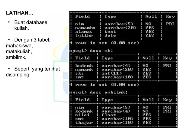 Pertemuan 5 - SQL Basic | PPT