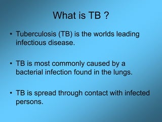 TB 1.ppt