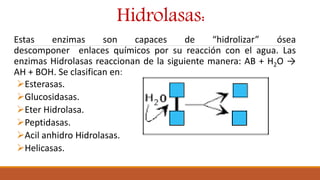 5.2 clasificación de las enzimas | PPTX