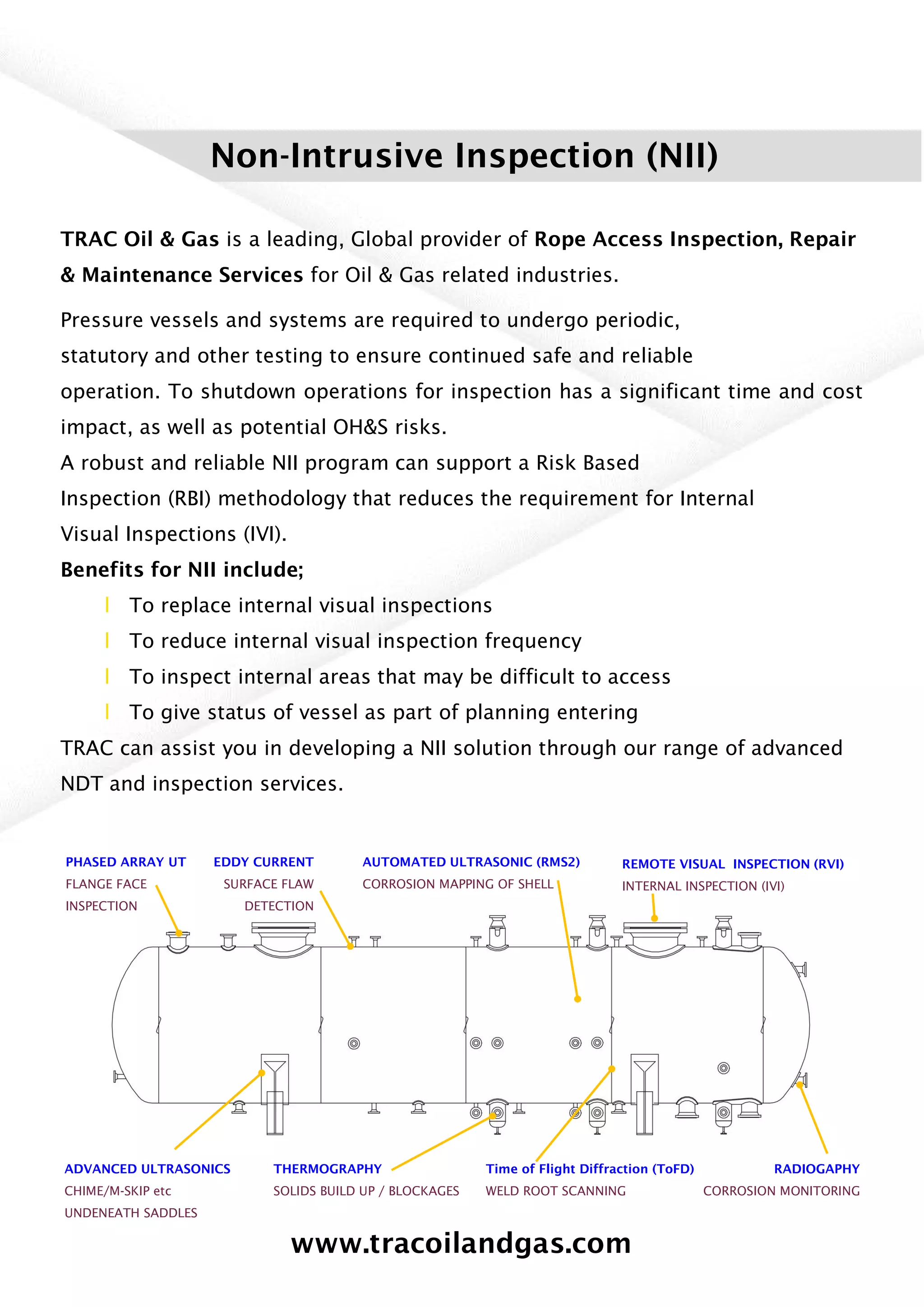 NII flyer_opt | PDF