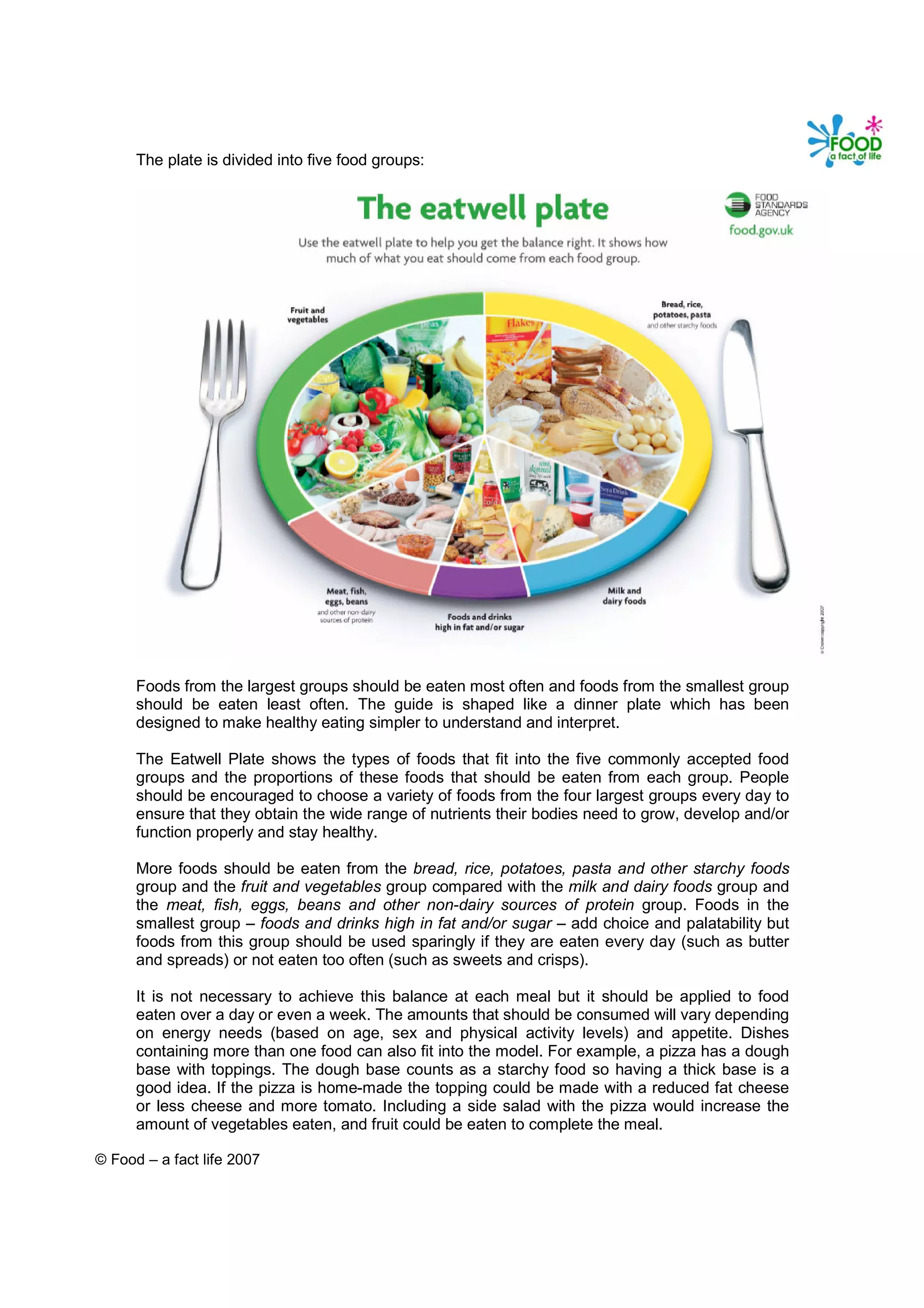 food plate | PDF