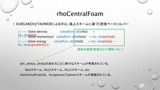 rhoCentralFoam in OpenFOAM | PDF