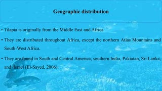 Introduction to Tilapia and its meristic characters | PPTX