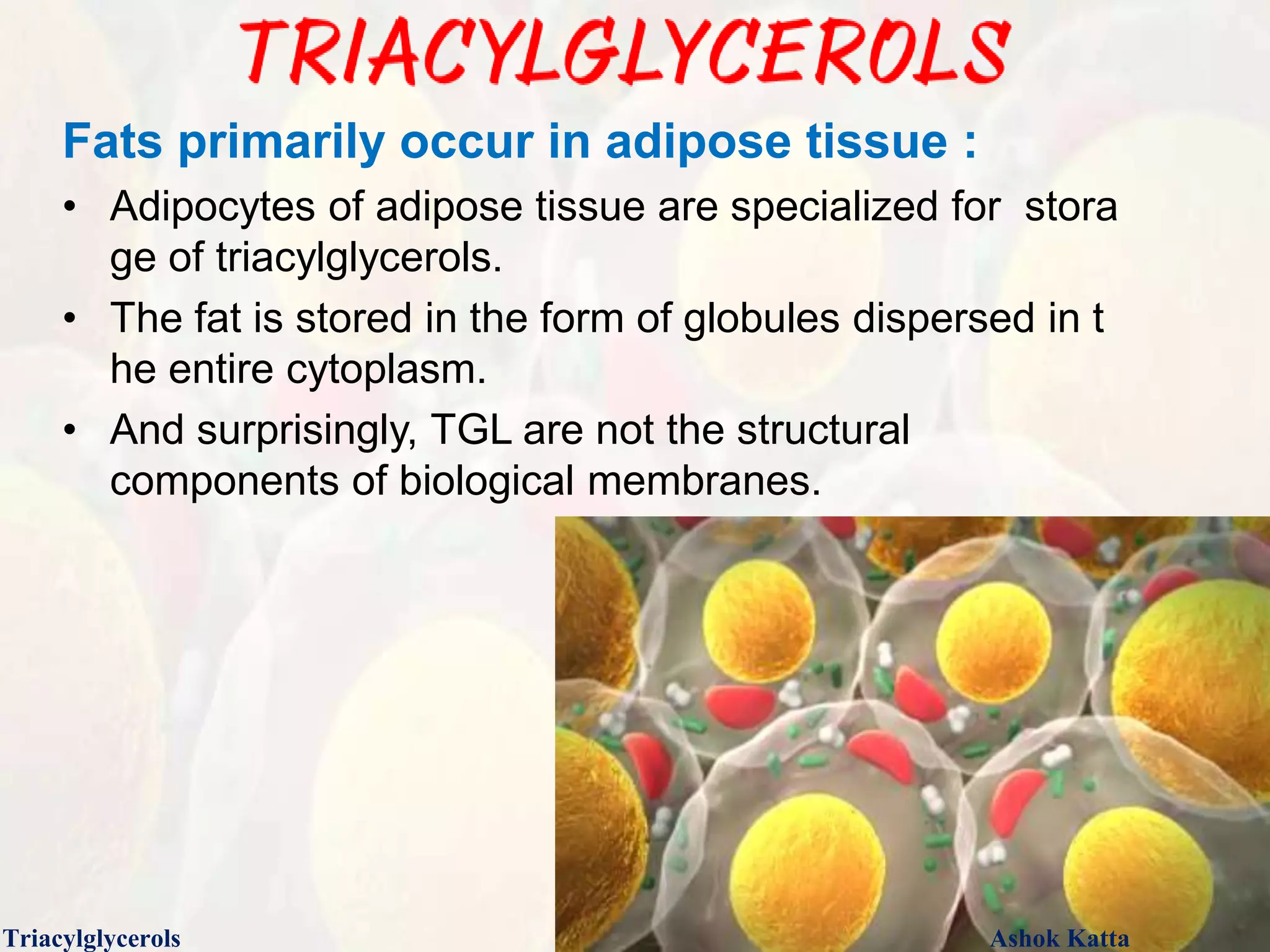 Triacylglycerols ((Chemistry of Lipids (Part - III) | PPSX