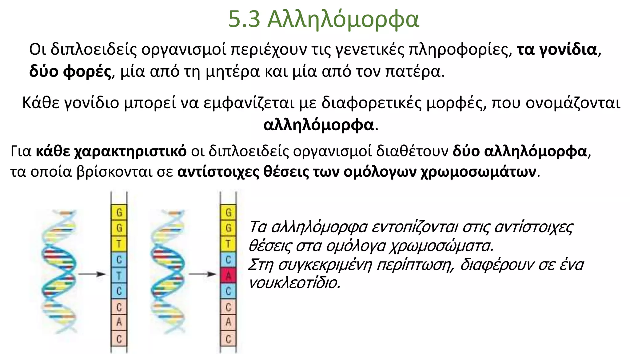 53 | PPT
