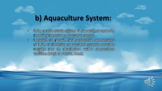 Introduction to Rohu and its meristic characters | PDF