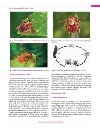Rocky Mountain Spotted Fever | PDF
