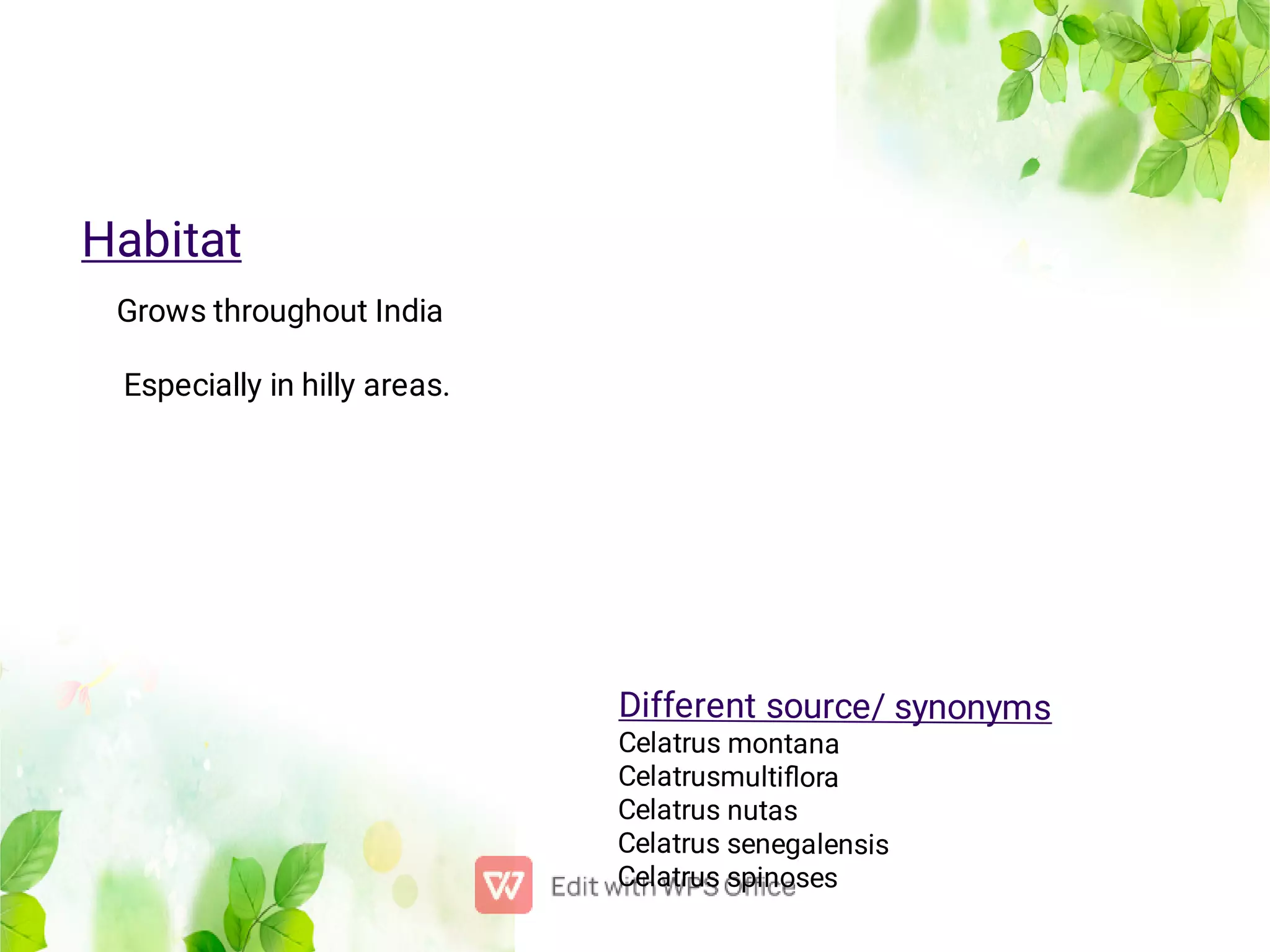 53 - Divya Tank ( JYOTISMATI ).pdf