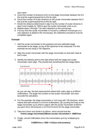 530319254-Activity-1-Basic-Microscopy.pdf