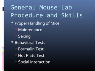 Experience in wpu mouselab revised | PPT