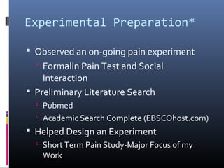 Experience in wpu mouselab revised | PPT