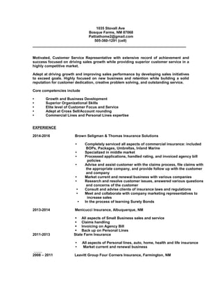Resume 2014 Insurance | PDF
