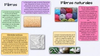 PROCESO TEXTIL Y ACABADOS SOBRE DIFERENTES TIPOS DE TELA | PDF