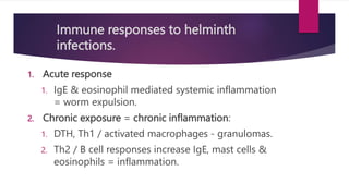 531544159-19-Immunoparasitology-and-Fungal-Immunity-PPT.pptx