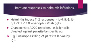 531544159-19-Immunoparasitology-and-Fungal-Immunity-PPT.pptx