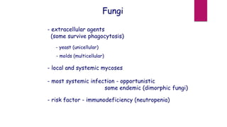 531544159-19-Immunoparasitology-and-Fungal-Immunity-PPT.pptx