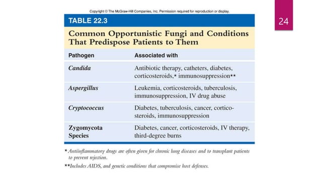 531544159-19-Immunoparasitology-and-Fungal-Immunity-PPT.pptx ...