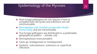 531544159-19-Immunoparasitology-and-Fungal-Immunity-PPT.pptx
