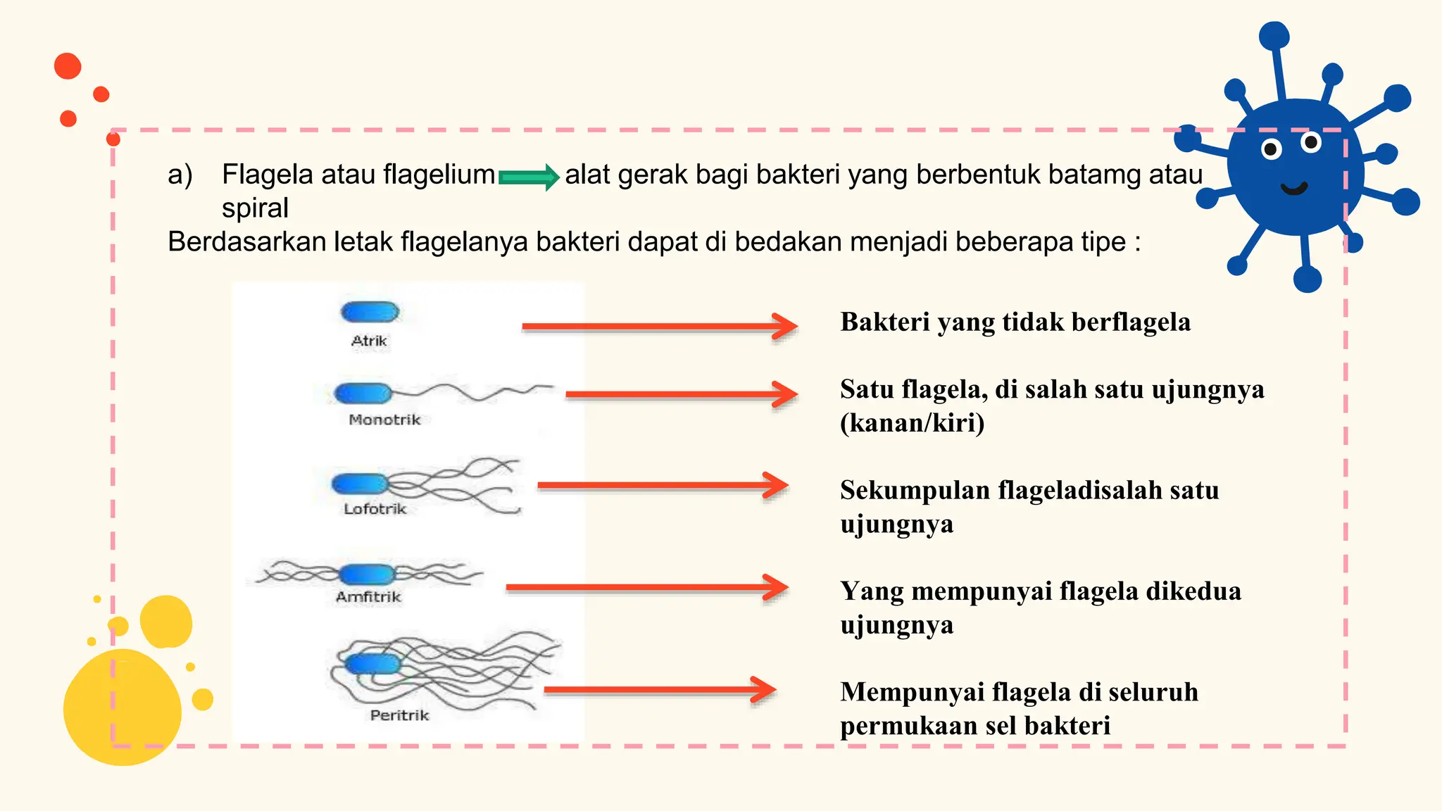 532310858-biologi-Ppt-Bakteri-Kelas-x-Fix.pptx