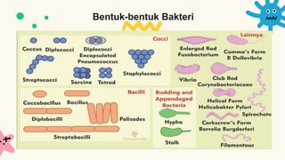 532310858-biologi-Ppt-Bakteri-Kelas-x-Fix.pptx