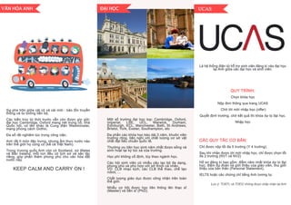 UK-Brochure | PDF