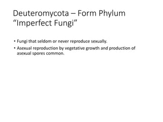 53349a126a0ff26e1ab9ddb8c4dd5dba (1).pdf