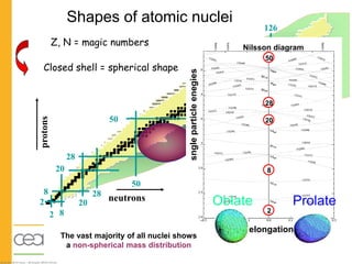Shell effects in atomic nuclei | PPT