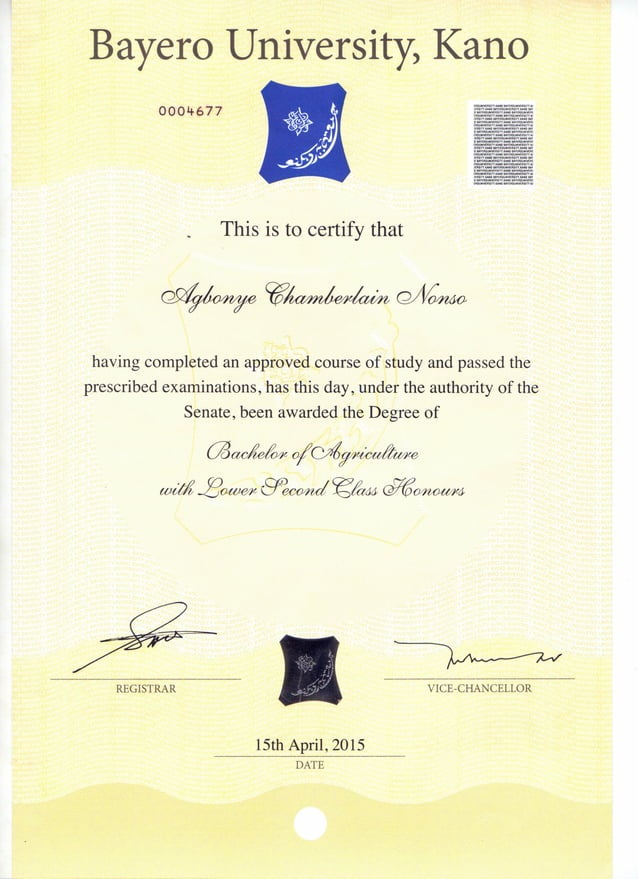 My BSc Certificate | PDF