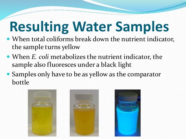 Water Testing 101