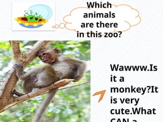 animals_and_their_abilities_can_cant.pptx