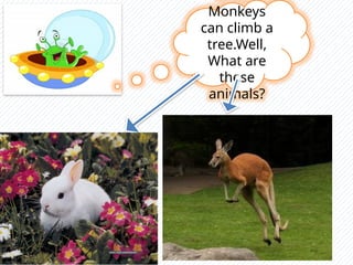 animals_and_their_abilities_can_cant.pptx
