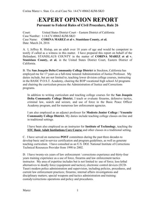 EXPERT OPINION REPORT | DOC