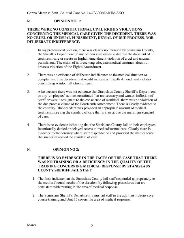 EXPERT OPINION REPORT