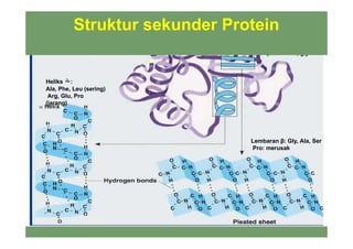 537706017-asam-nukleat-dan-protein-aliran-informasi-genetik-DANIKUR.pptx