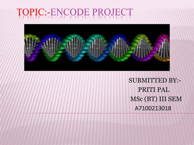 encode project | PPTX | Genetics | Science