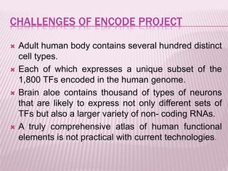 encode project | PPTX