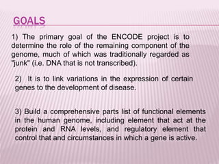 encode project | PPTX