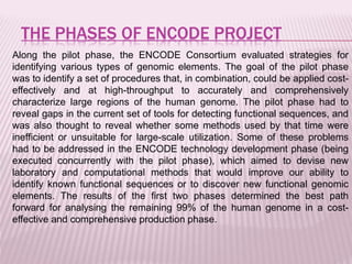 encode project | PPTX