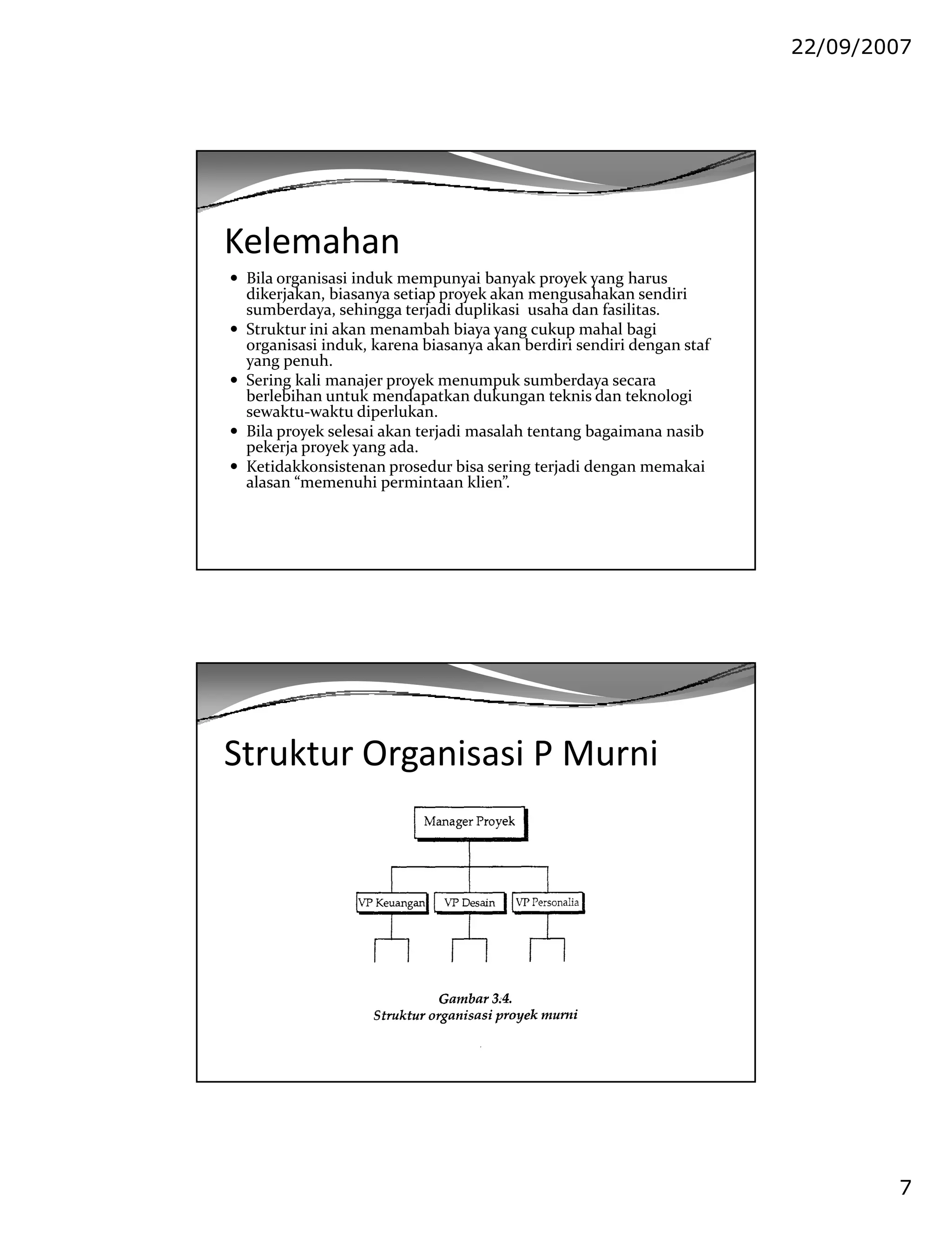 Organisasi Proyek | PDF