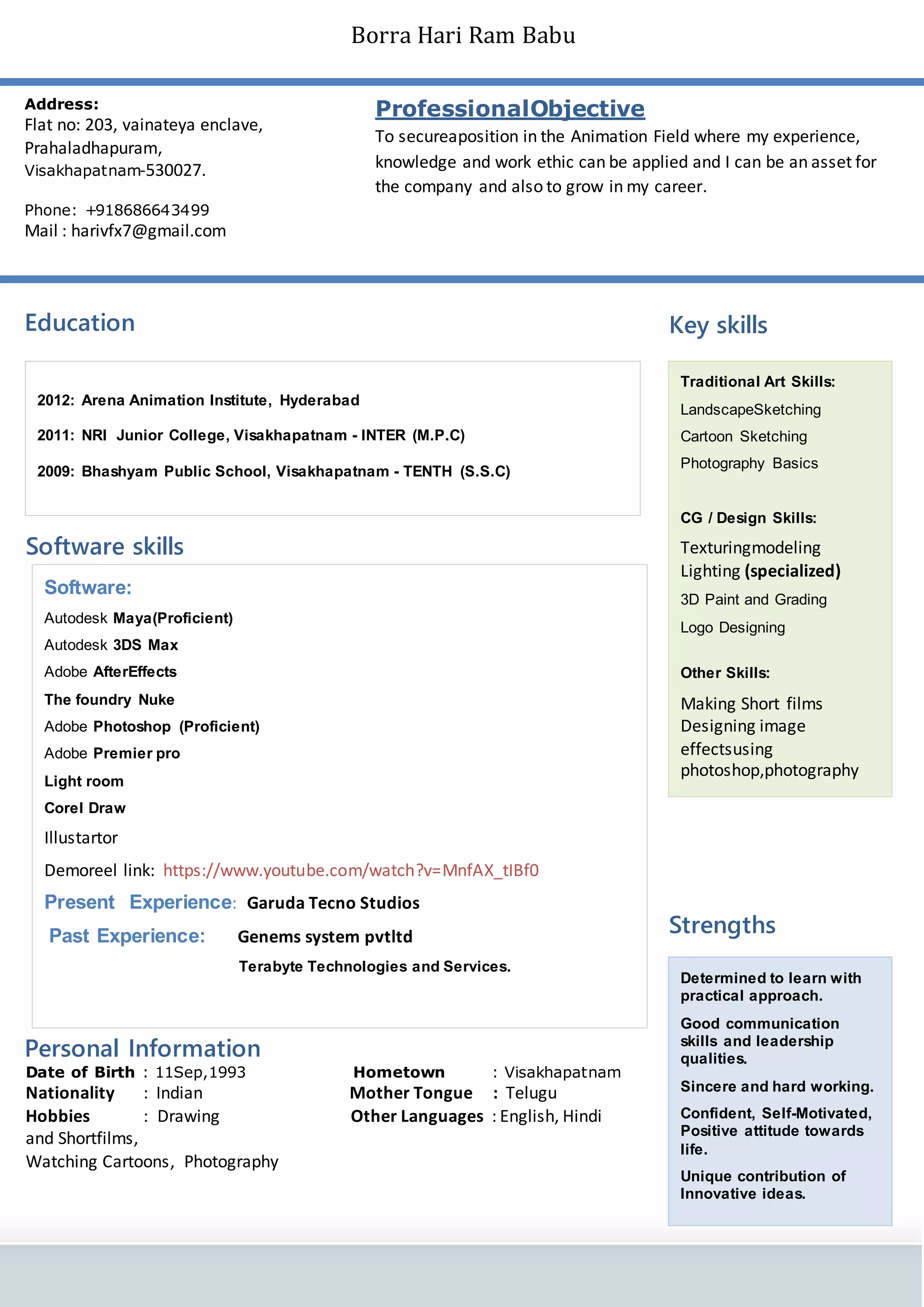 Borra.Hari ram babu 3d artist | DOCX