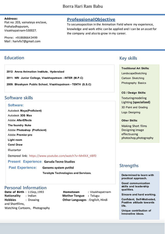 Borra.Hari ram babu 3d artist | DOCX