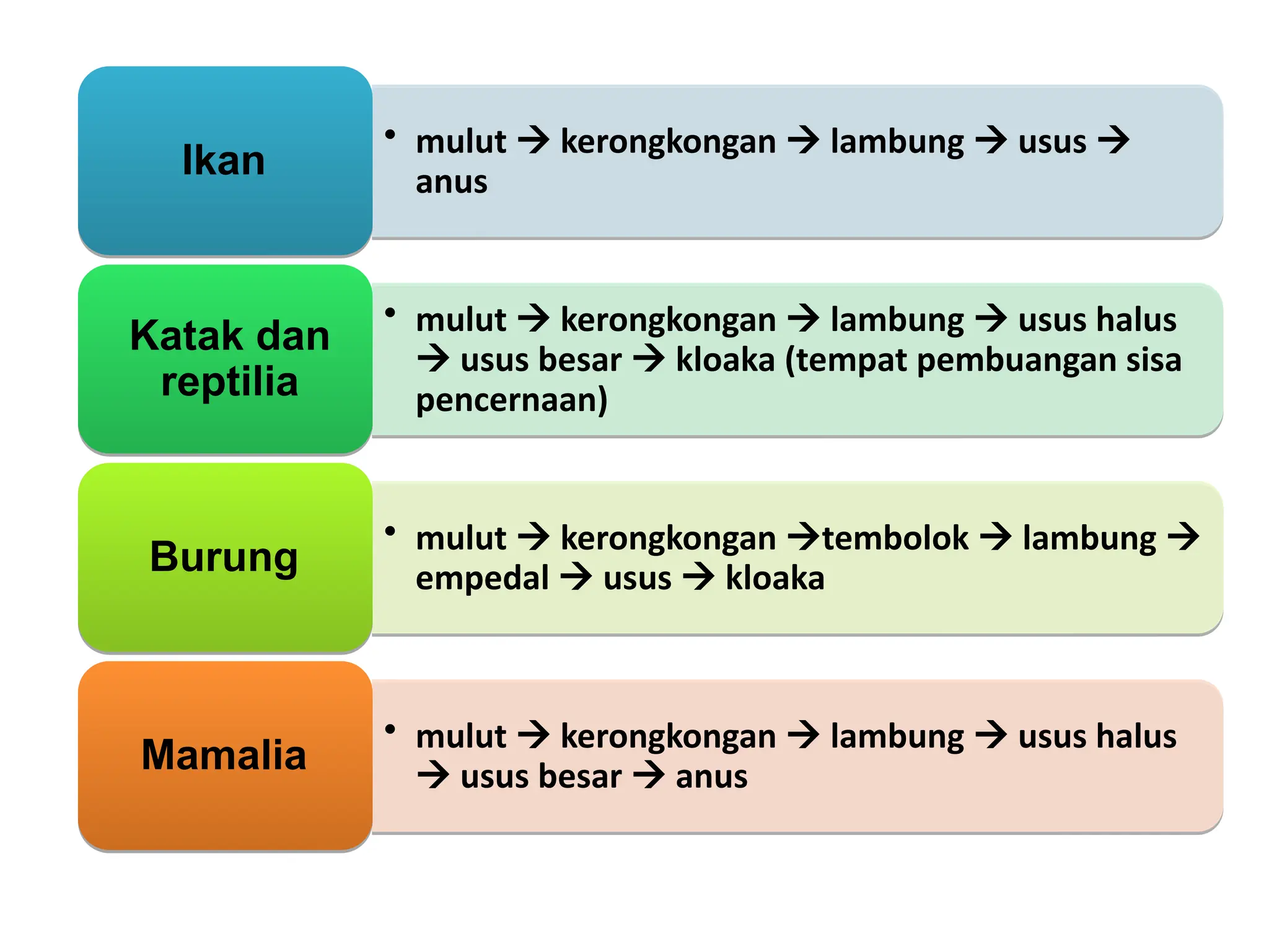 539688011-PPT-BUPENA-KELAS-5-TEMA-3.pdf