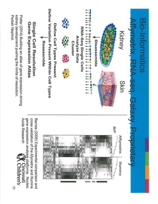 Skin Sciences Capabilities at CCHMC | PDF