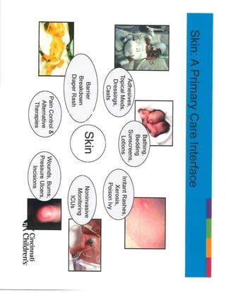 Skin Sciences Capabilities at CCHMC | PDF