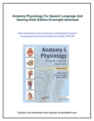 Anatomy Physiology For Speech Language And Hearing Sixth Edition ...