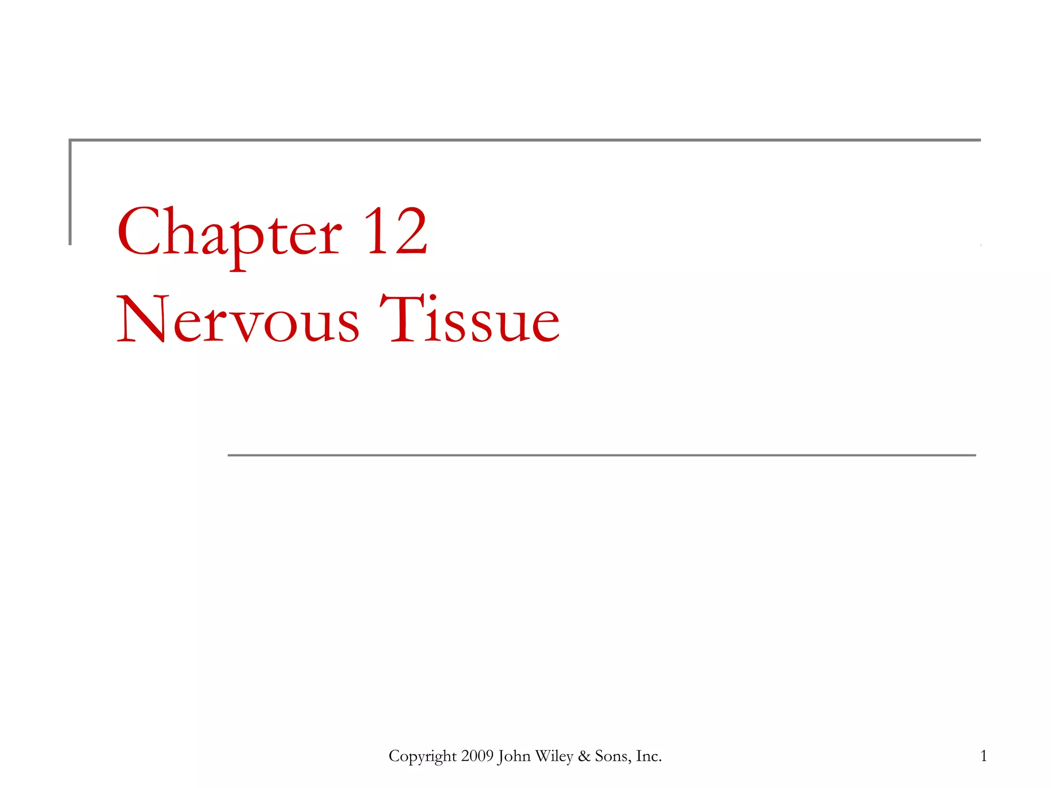 nervous tissue | PPT